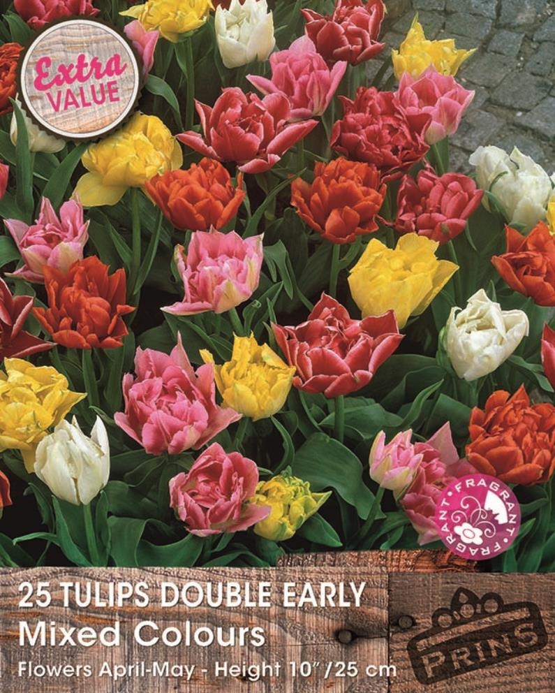 Prins Tulp Double early mix 25 bollen - Bloembollen Kopen? | Goedkoop ...